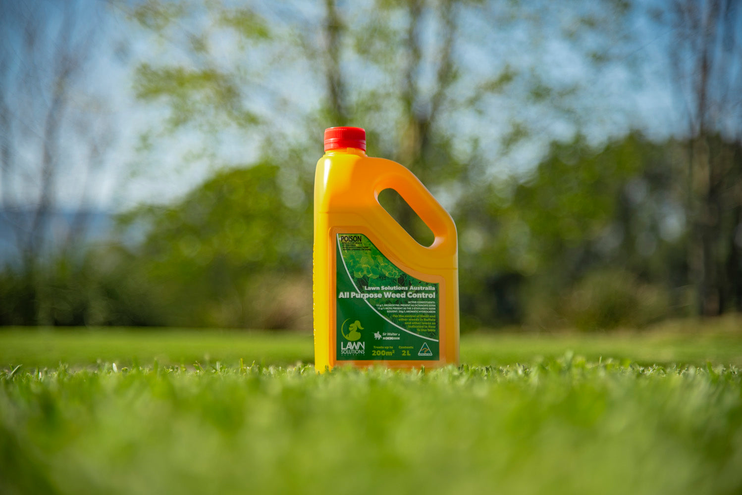 Post-Rain Weed Surge? Here's How to Tackle It – New Lawn Turf