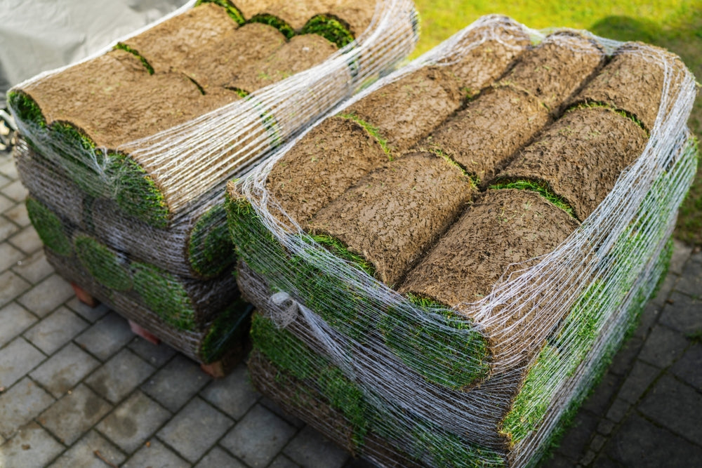 Services - New Lawn Turf | Tamworth & Northern NSW Premium Turf